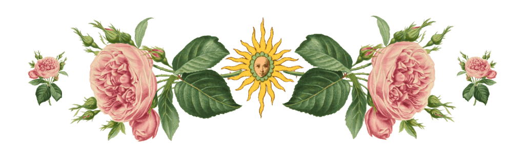 Feu de camp – Eleonore Bridgewoods